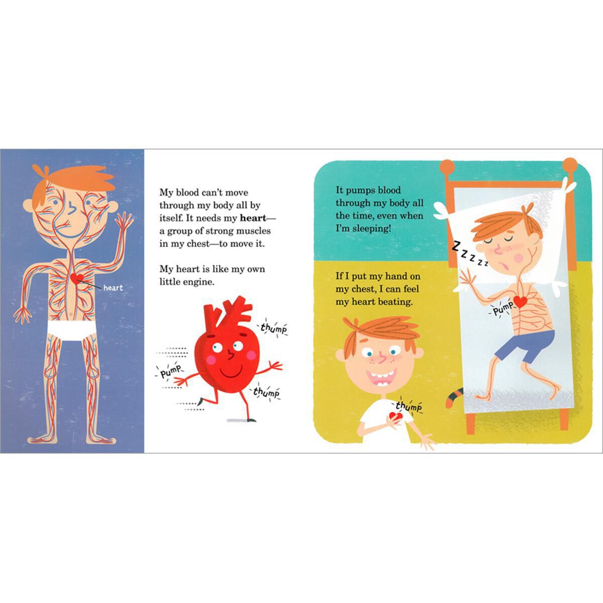 Me and My Amazing Body | Les indispensables du prof Scholastic Canada