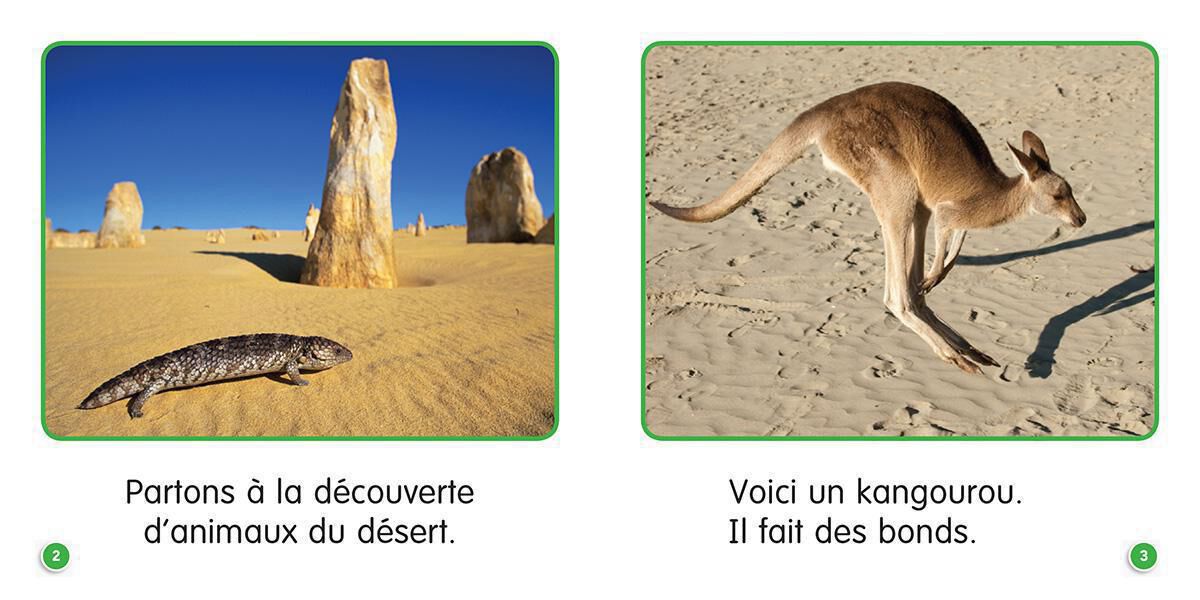 Collection Je lis! Sciences : Animaux - Série 1 | Scholastic Canada ...