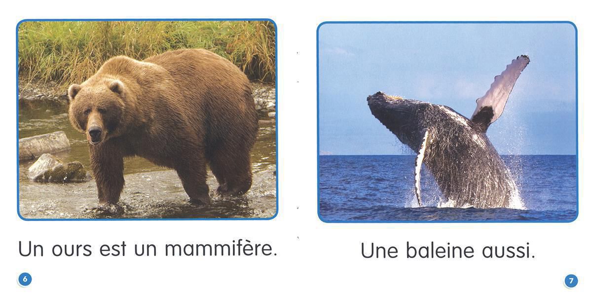 Collection Je lis! Sciences : Animaux - Série 1 | Scholastic Canada ...