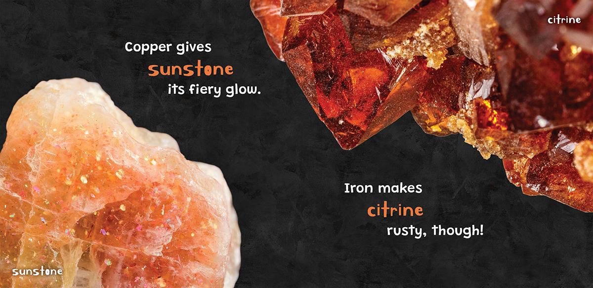 A Rainbow of Rocks | Scholastic Canada Book Clubs