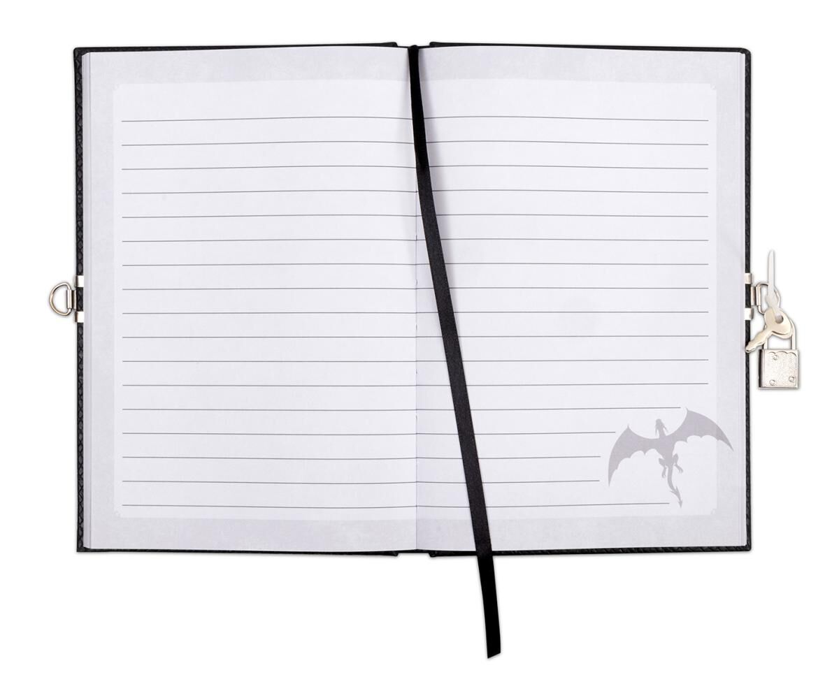 Black Dragon Diary | Scholastic Canada Book Clubs