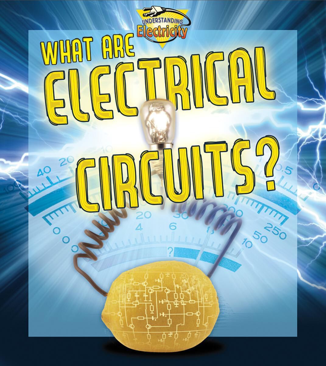 Understanding Electricity 4-Pack | Scholastic Canada Book Clubs