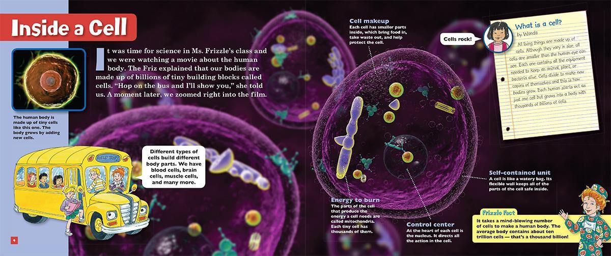 Magic School Bus Sciences 8-Pack | Scholastic Canada Book Clubs