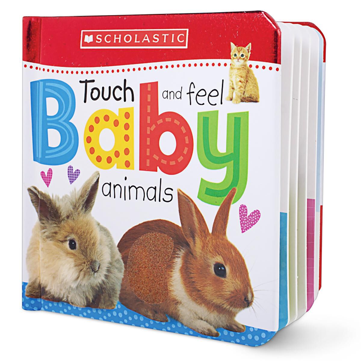 Touch & Feel Board Books 5-Pack | Scholastic Canada Book Clubs