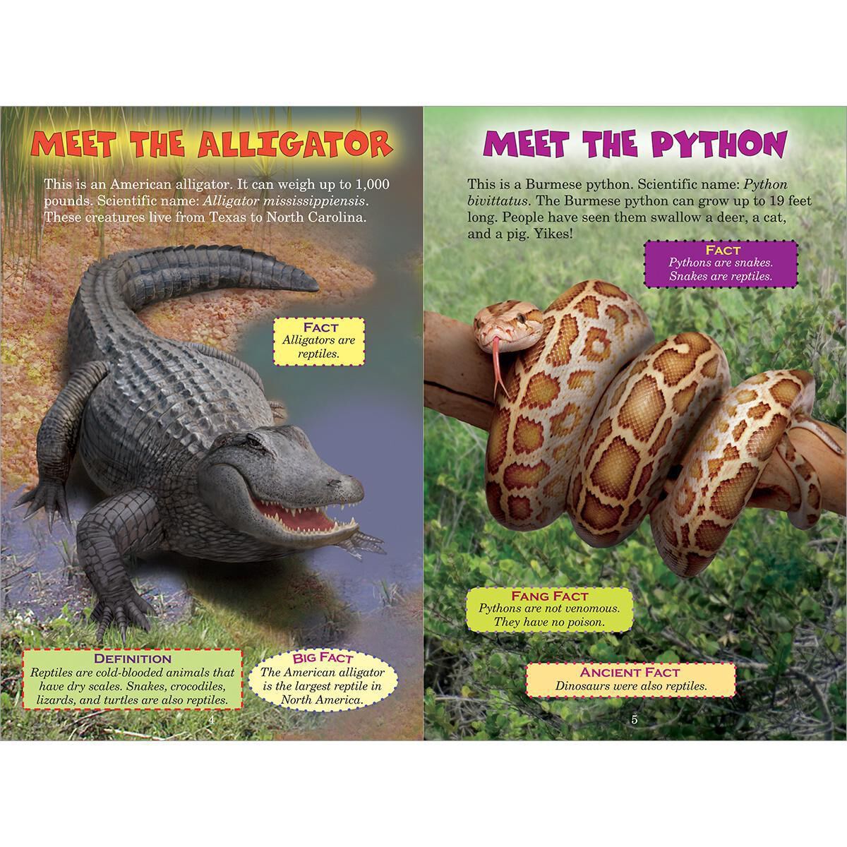 Who Would Win? 3-Pack | Scholastic Canada Book Clubs