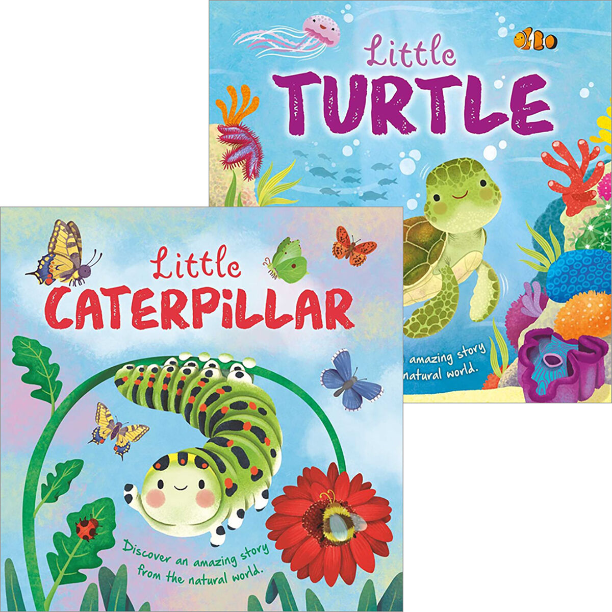 Little Lifecycle 2-Pack | Scholastic Canada Book Clubs