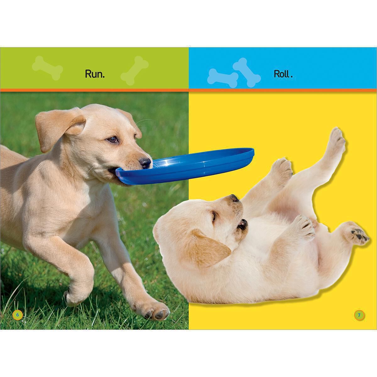 National Geographic Reader 16-Pack | Scholastic Canada Book Clubs