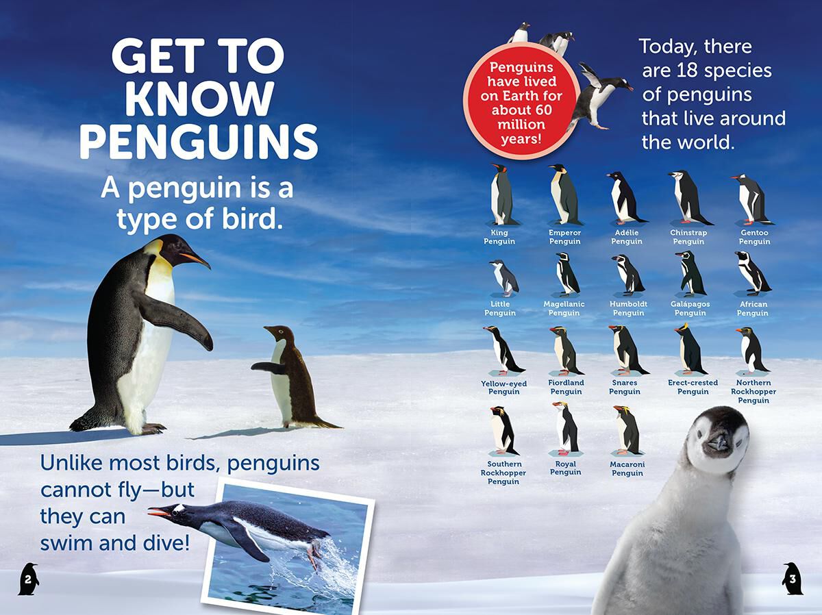Penguins! | Scholastic Canada Book Clubs