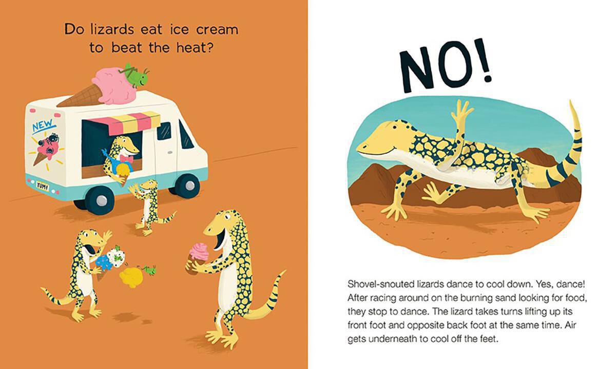 Do Lizards Eat Ice Cream? How Animals Beat the Heat | Scholastic Canada ...
