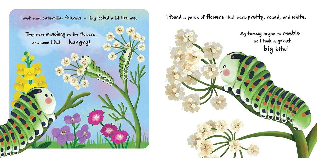 Little Caterpillar | Scholastic Canada Book Clubs