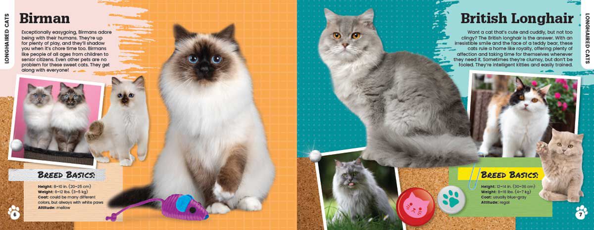Cool Cats! with Necklace | Scholastic Canada Book Clubs