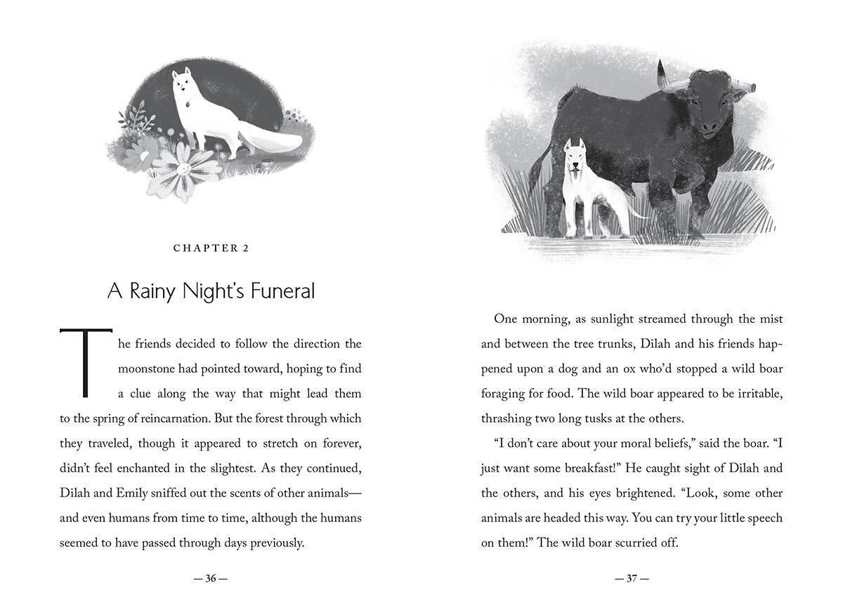 White Fox in the Forest | Scholastic Canada Book Clubs