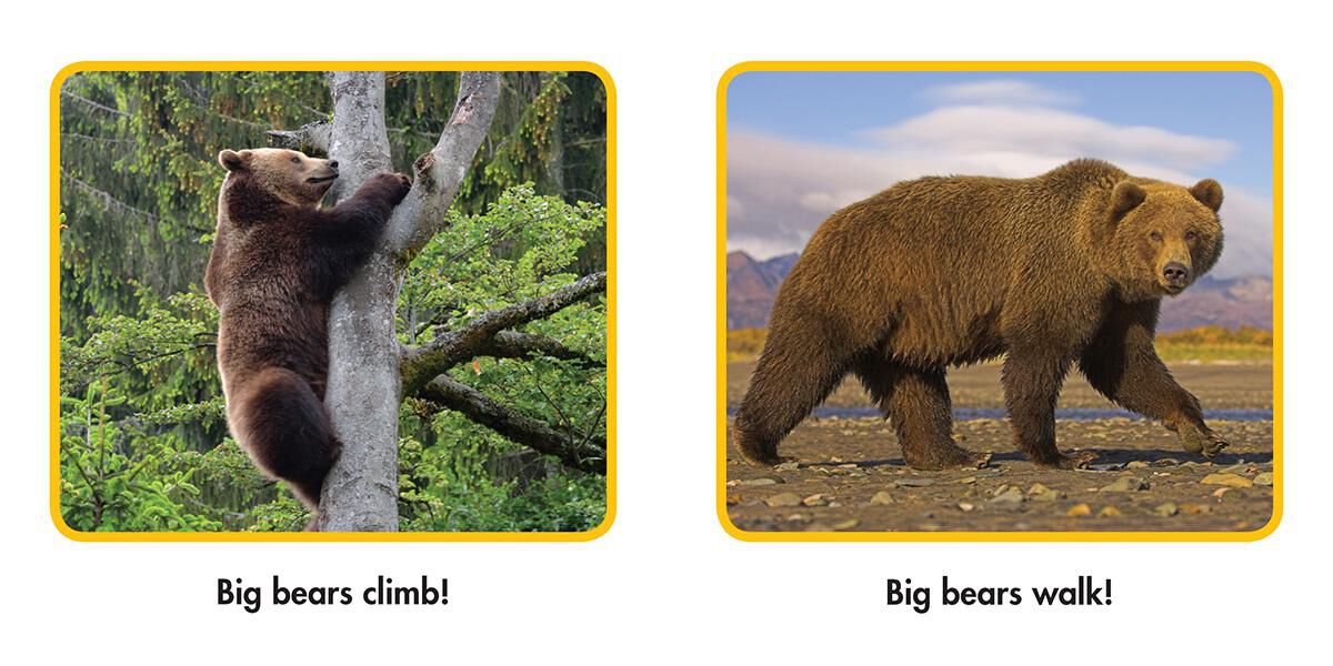 National Geographic Kids: Guided Reading 18-Pack (A-F) | Scholastic ...