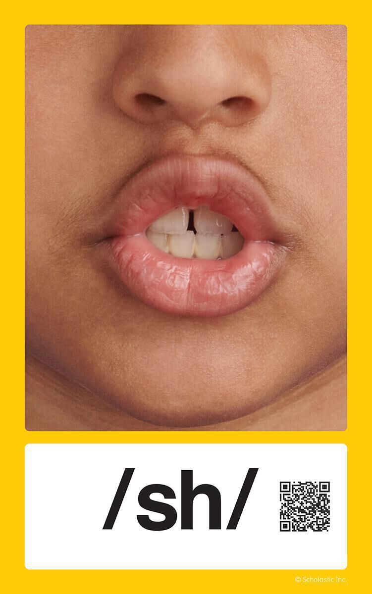 Articulation Cards | Scholastic Canada Book Clubs