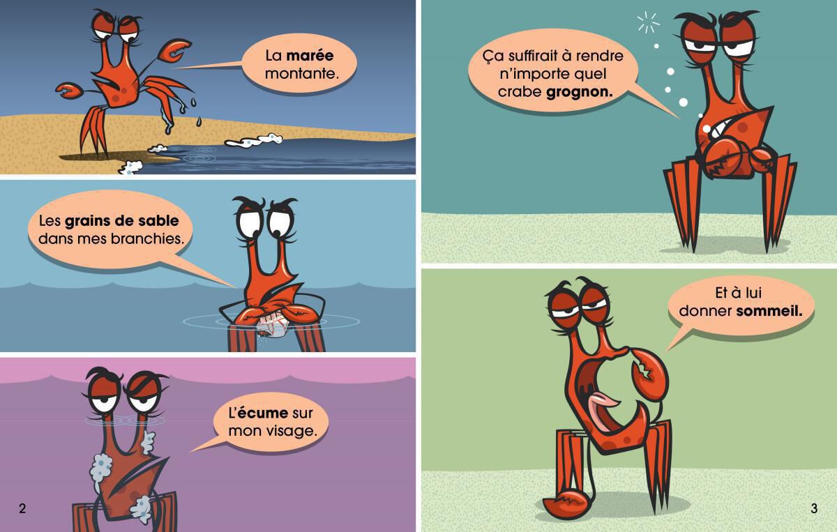 Ensemble Crabe Grognon | Scholastic Canada Book Clubs
