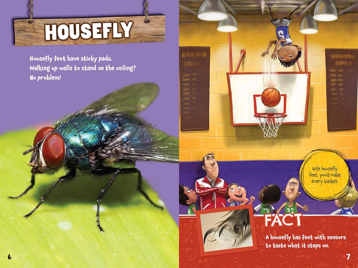 What If You Had Animal Feet? | Scholastic Canada Book Clubs