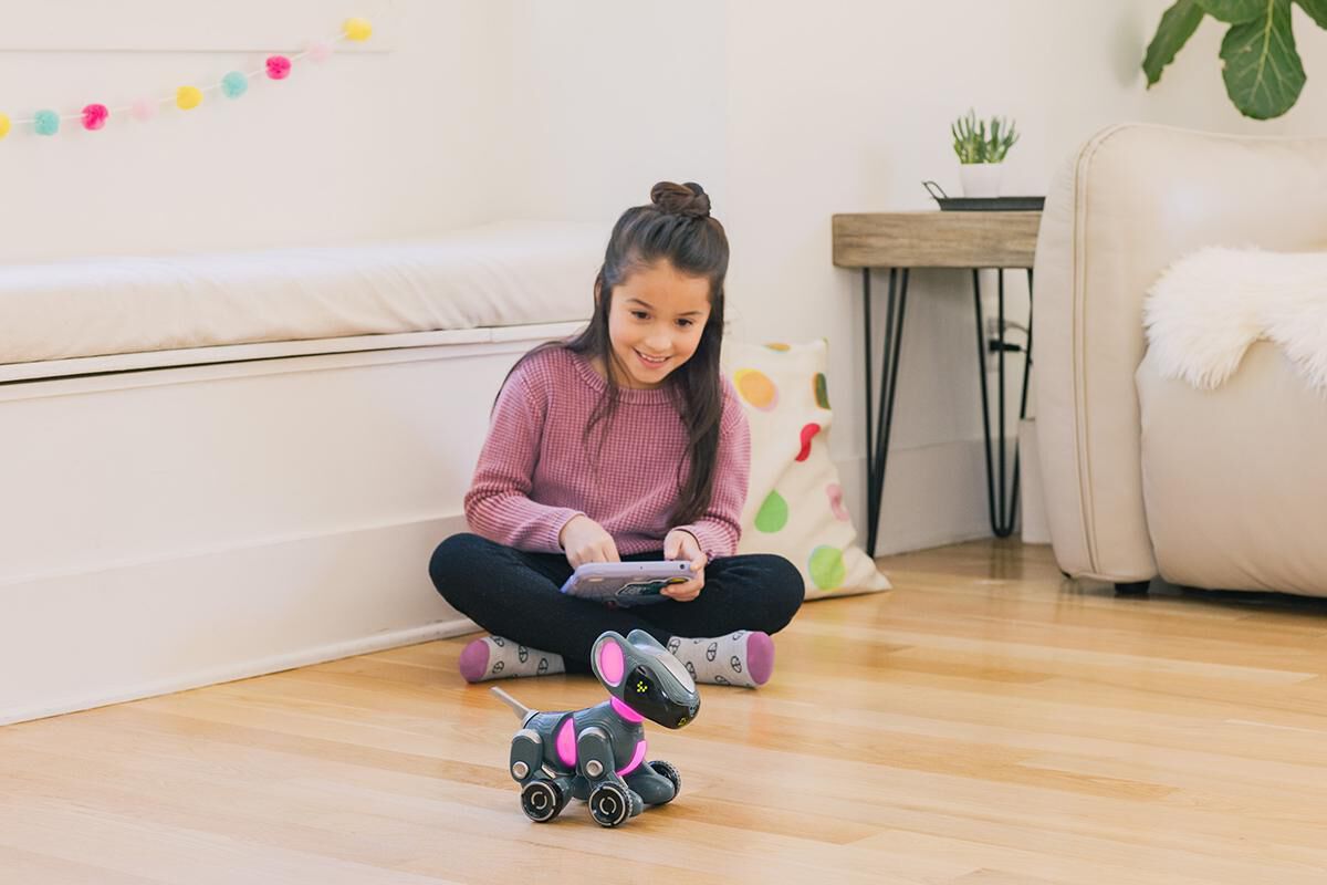 Pyxel®: The Coding Pet | Scholastic Canada Book Clubs