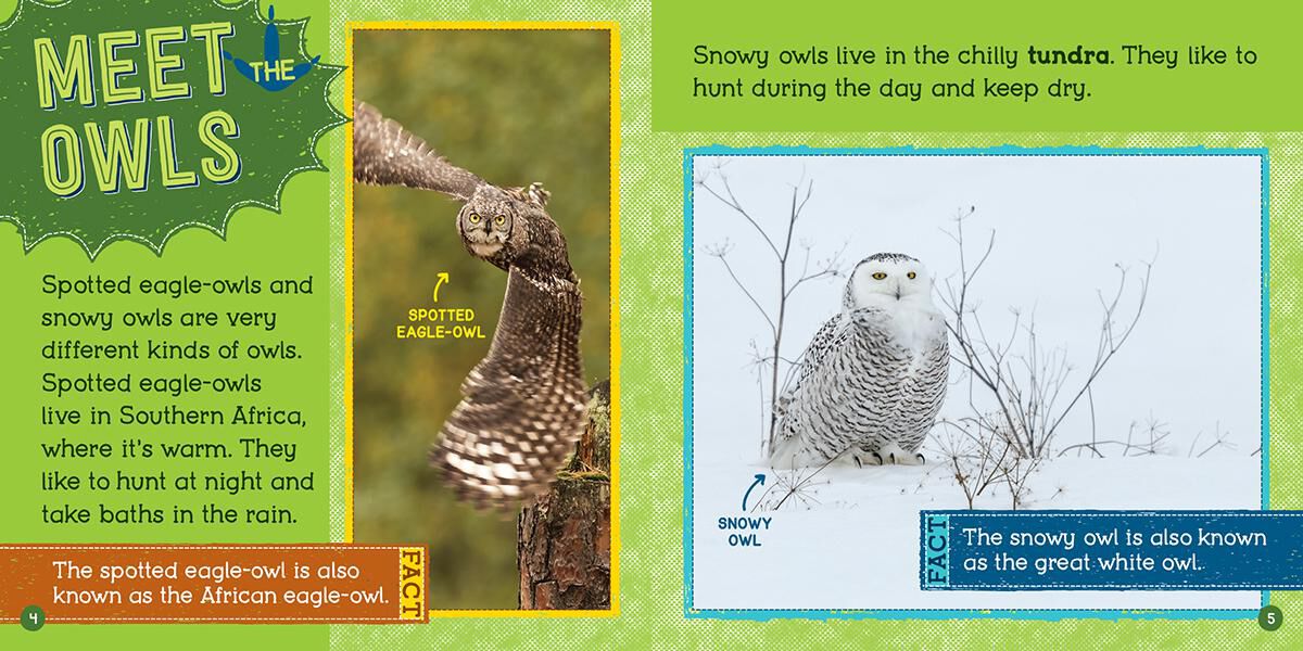 Animals Living in Extreme Weather 3-Pack | Scholastic Canada Book Clubs