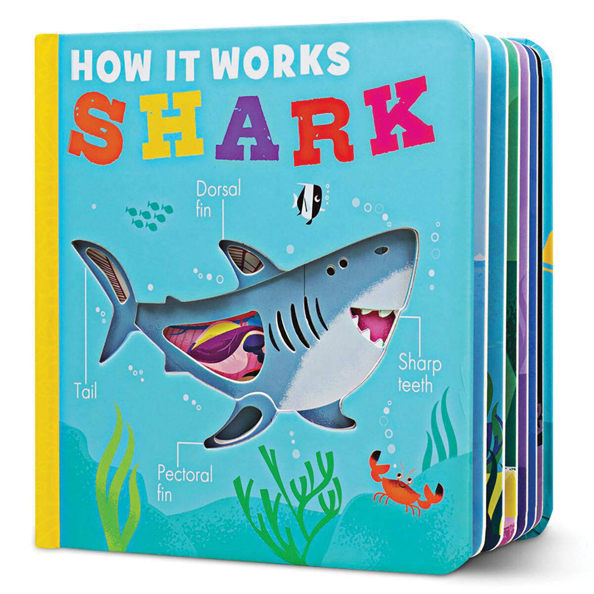 How it Works: Shark | Scholastic Canada Book Clubs
