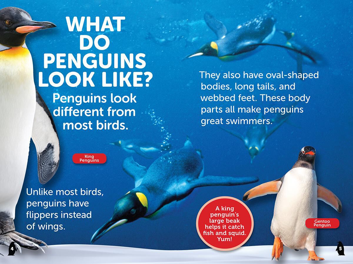 Penguins! | Scholastic Canada Book Clubs