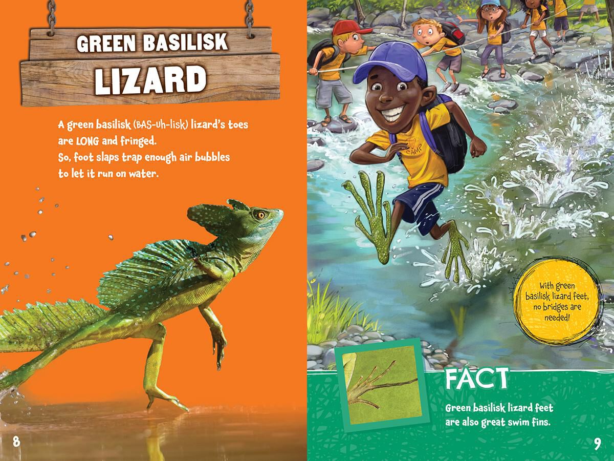 What If You Had Animal Feet? | Scholastic Canada Book Clubs