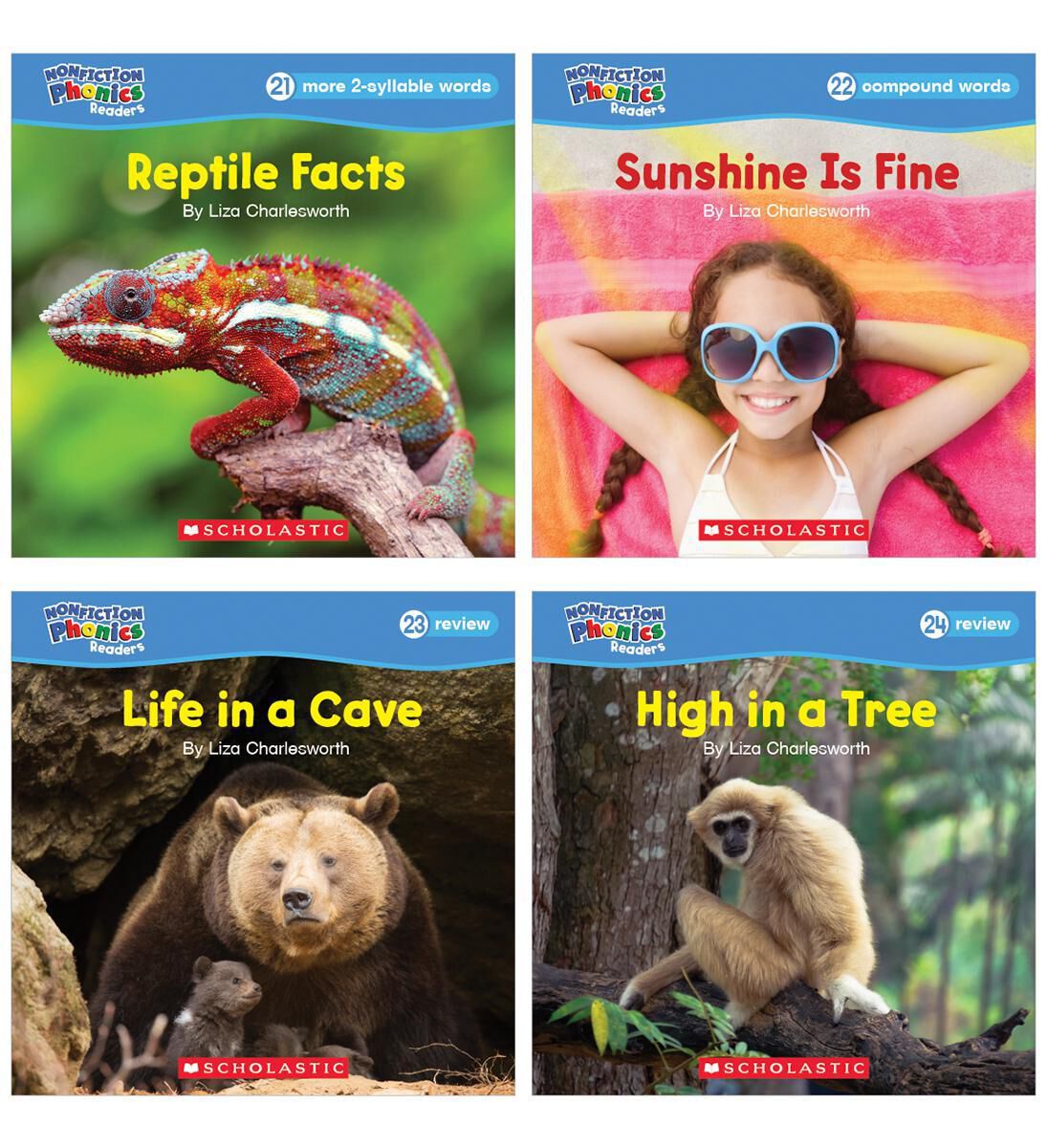 Nonfiction Phonics Readers Set 2: Long Vowels, Digraphs & More ...
