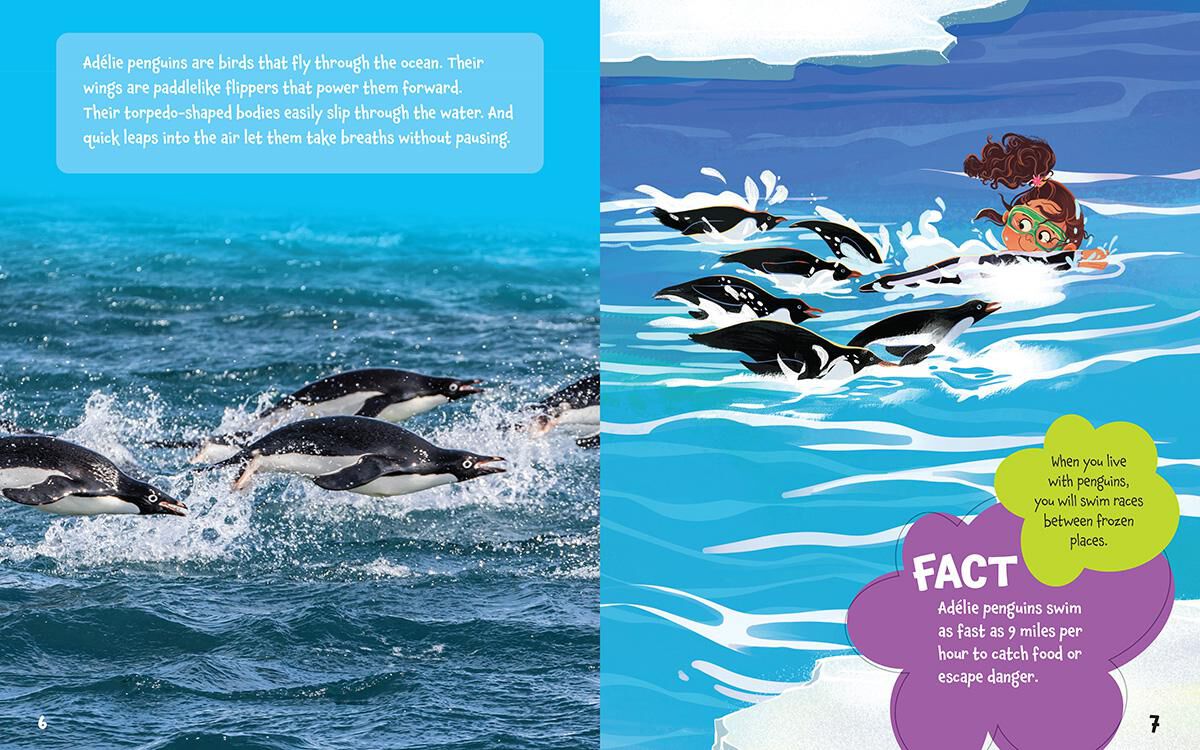 Could You Ever Waddle With Penguins!? | Scholastic Canada Book Clubs