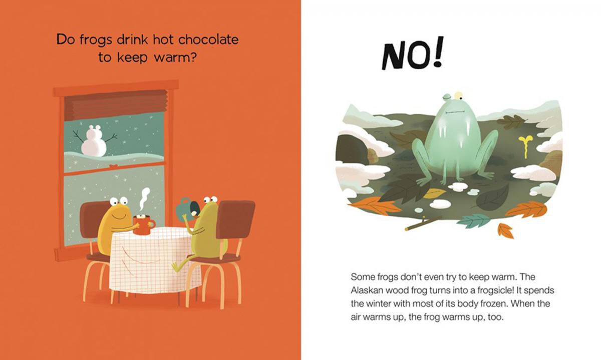 Do Frogs Drink Hot Chocolate? How Animals Keep Warm | Scholastic Canada ...