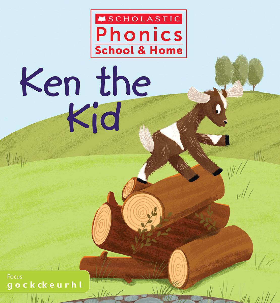 Scholastic Phonics School and Home: Complete Library Pack | Scholastic ...