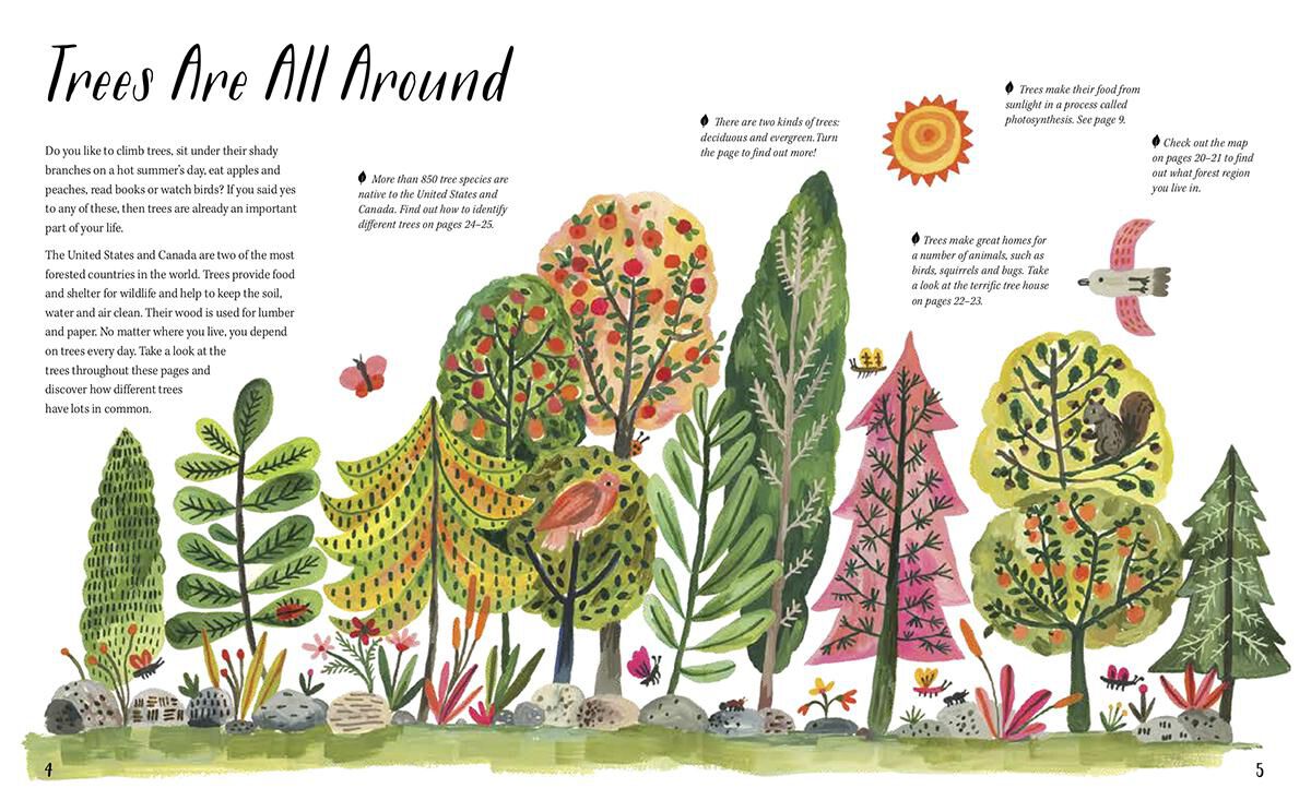Nature All Around: Trees | Scholastic Canada Book Clubs