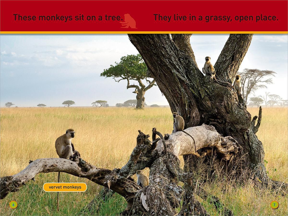 National Geographic Reader 16-Pack | Scholastic Canada Book Clubs