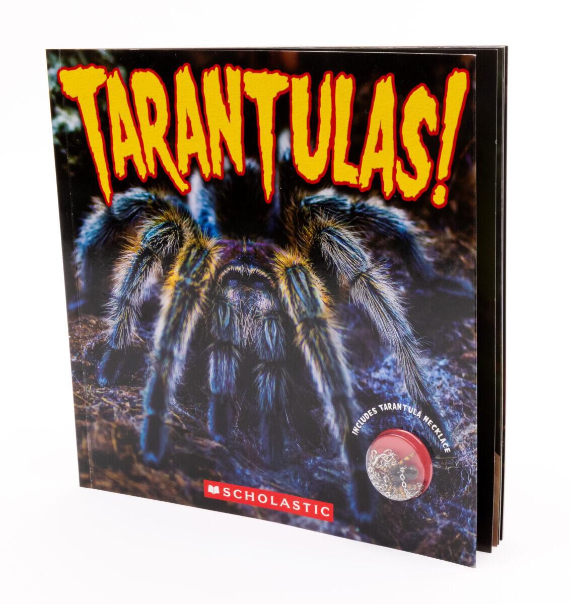 Tarantulas! | Scholastic Canada Book Clubs