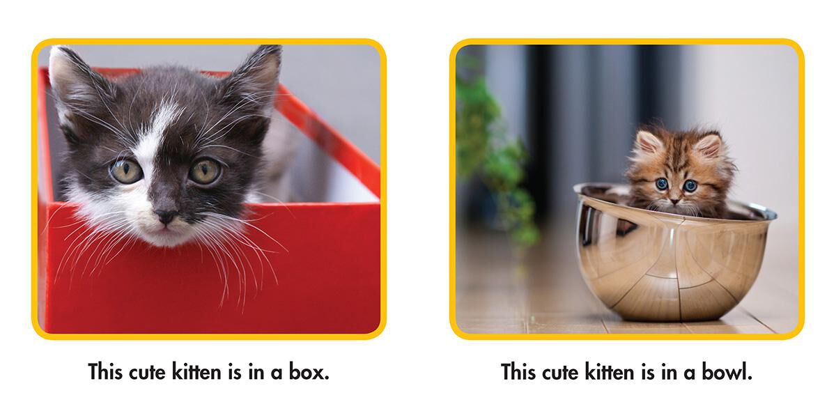 National Geographic Kids: Guided Reading 18-Pack (A-F) | Scholastic ...