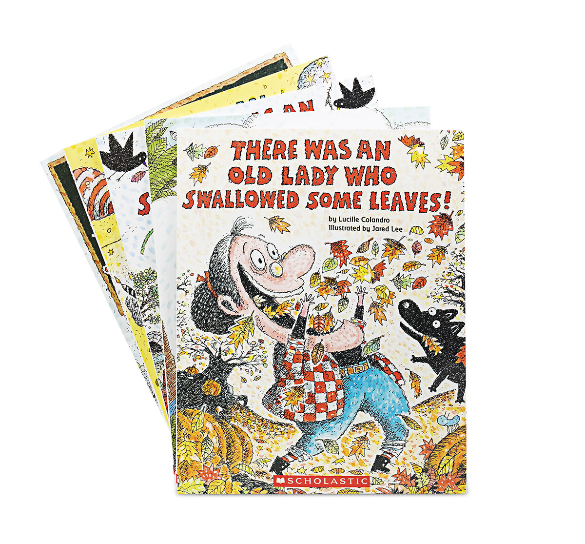 There Was an Old Lady Who Swallowed a Boxed Set! | Scholastic Canada ...