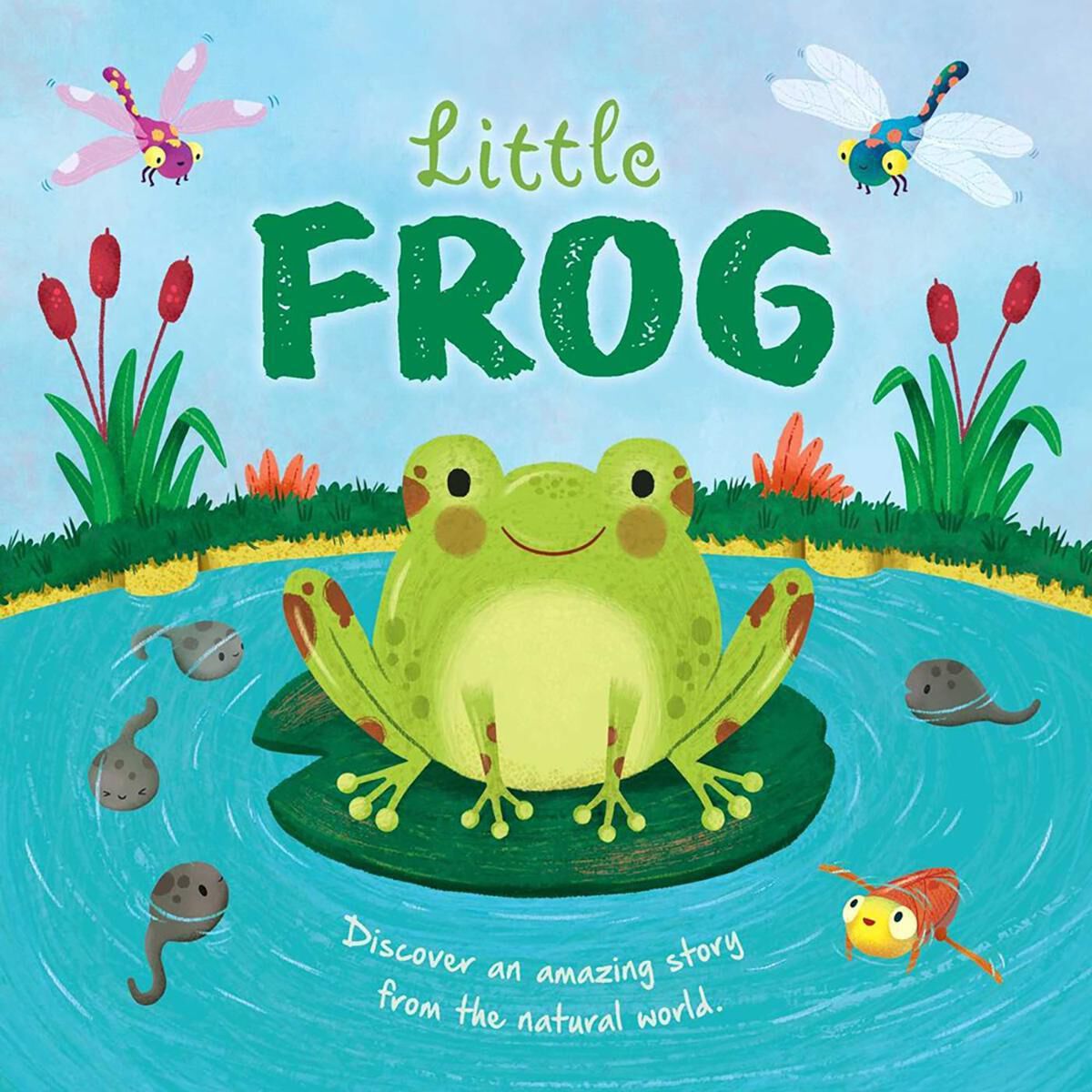 Little Frog | Scholastic Canada Book Clubs