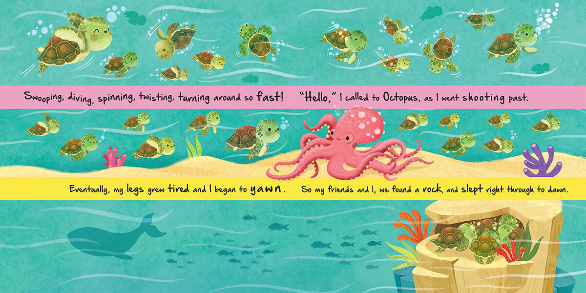 Little Turtle | Scholastic Canada Book Clubs