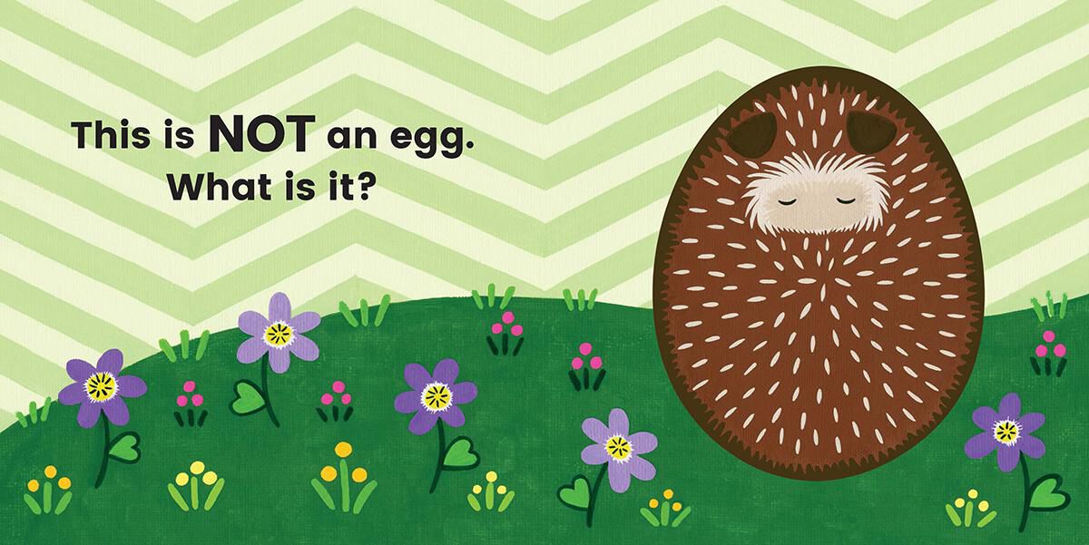 Not an Egg! | Scholastic Canada Book Clubs