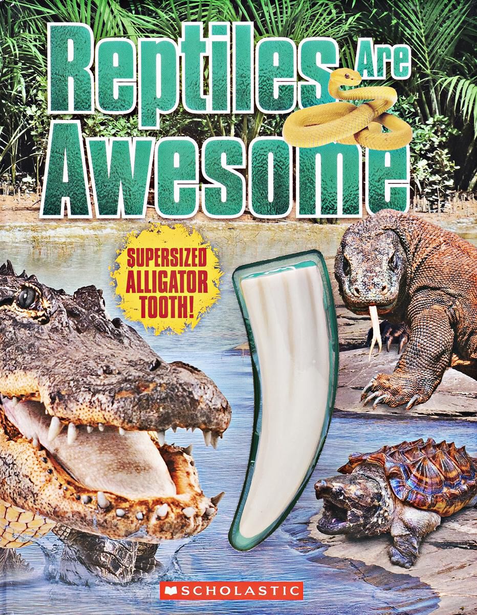 Reptiles Are Awesome | Scholastic Canada Book Clubs