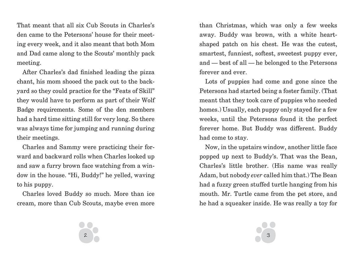 Puppy Place Maggie and Max 10-Pack | Scholastic Canada Book Clubs