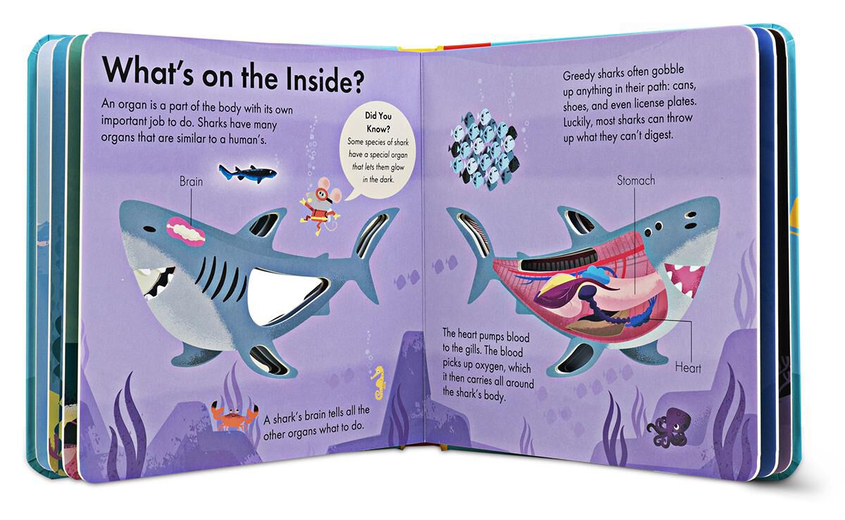 How it Works: Shark | Scholastic Canada Book Clubs