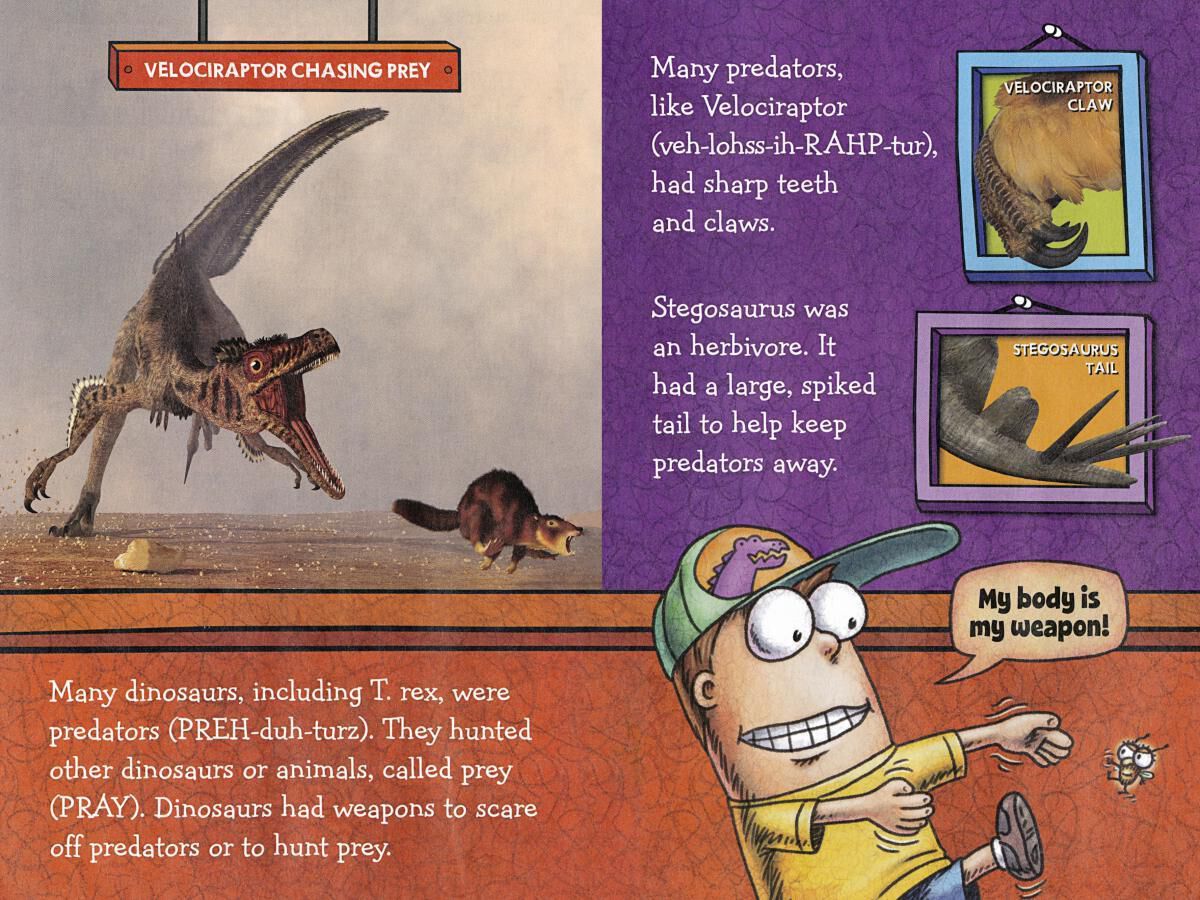 Fly Guy Presents 10-Pack | Scholastic Canada Book Clubs