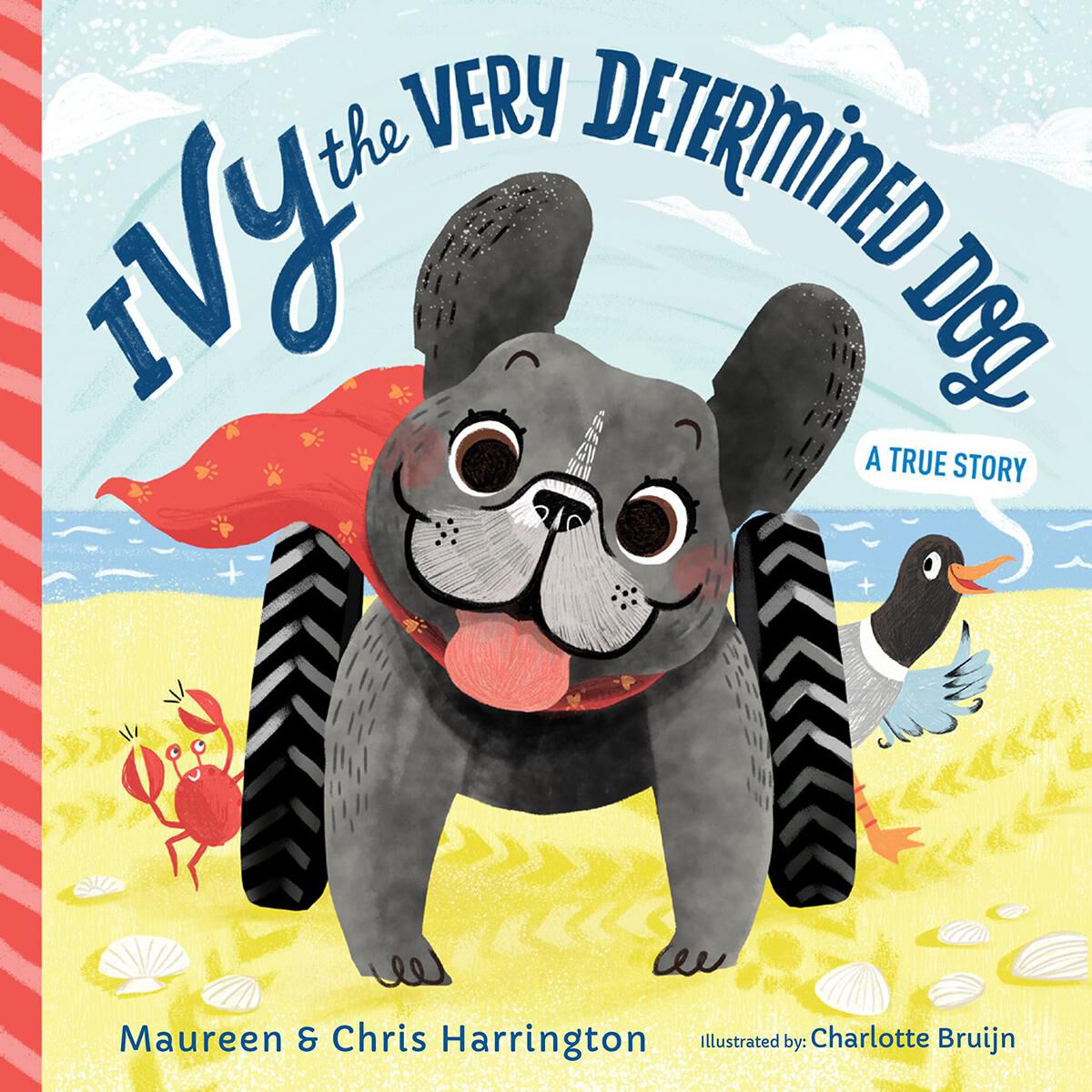 Ivy the Very Determined Dog | Les indispensables du prof Scholastic Canada