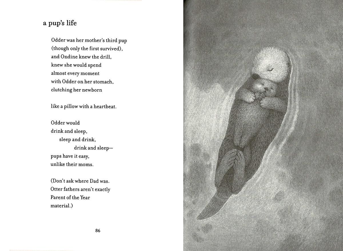 Odder | Scholastic Canada Book Clubs