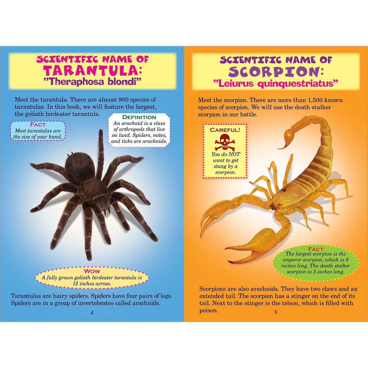 Who Would Win?® Tarantula vs. Scorpion | Scholastic Canada Book Clubs