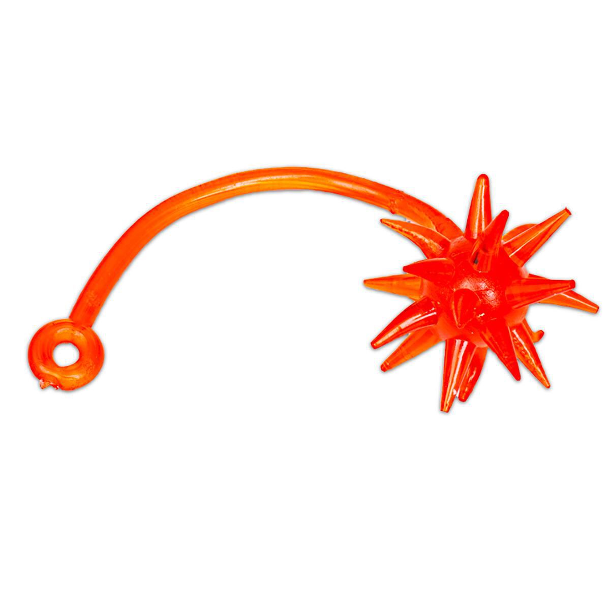 Never Bored Box | Scholastic Canada Book Clubs