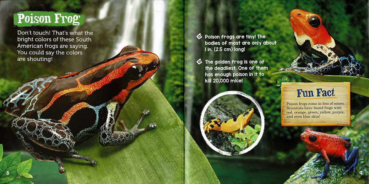 Colourful Creatures | Scholastic Canada Book Clubs