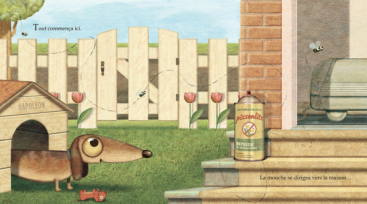 La mouche dans l'aspirateur | Scholastic Canada Clubs de lecture