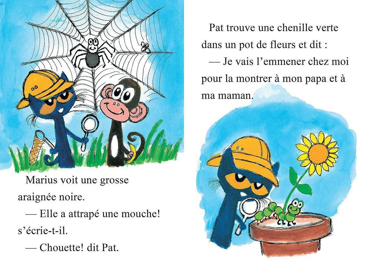 Collection Je lis avec Pat le chat - 5 livres | Scholastic Canada Clubs ...