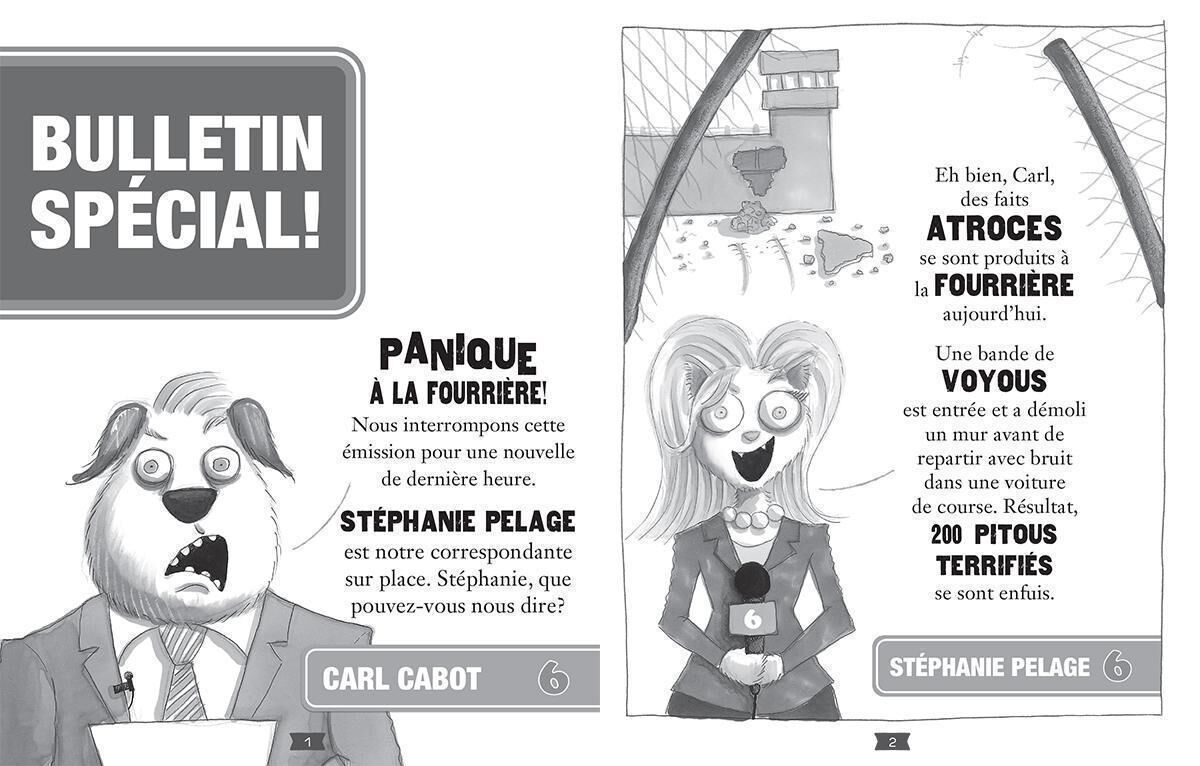 Collection Les méchants : Tomes 1 à 8 | Scholastic Canada Book Clubs