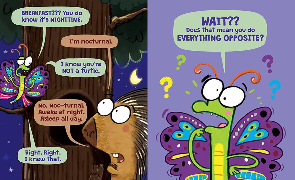 Goodnight, Butterfly | Scholastic Canada Book Clubs